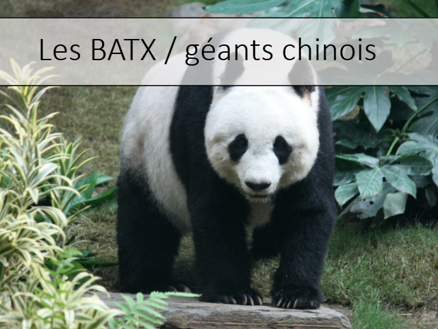 Les BATX / géants chinois – la Constellation des toiles